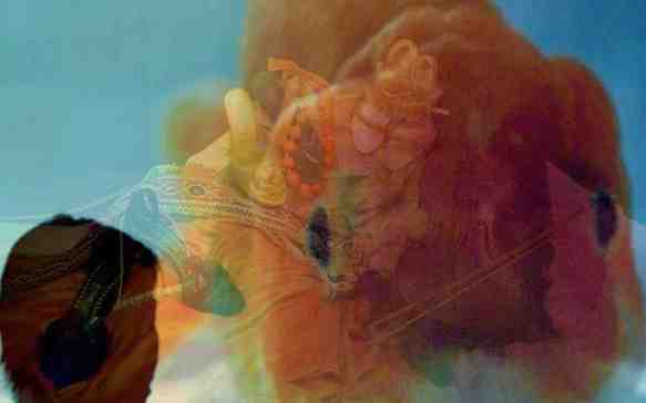 Clement Space – a new iteration. | Dawn-joy Leong